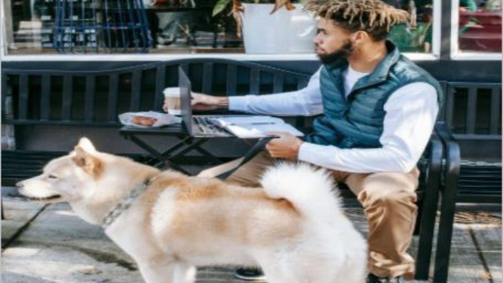 Pets in European Cities: Dog Culture, Pet-Friendly Cafés and Parks